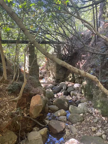 Best Hikes and Trails in Newlands Forest | AllTrails