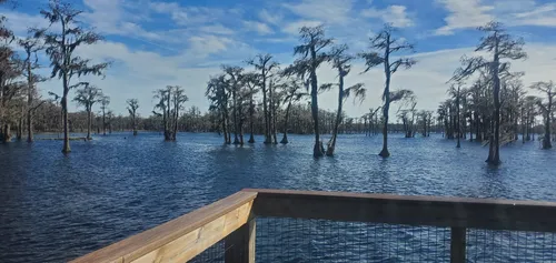 Best Hikes and Trails in Banks Lake National Wildlife Refuge | AllTrails