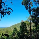 Jack Ferris Lookout via Trachyte Circuit, Queensland, Australia - 363 ...
