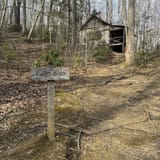 Jakes Creek Trail to Avent Cabin, Tennessee - 924 Reviews, Map | AllTrails