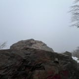 Hawk Rock Loop, Pennsylvania - 1,319 Reviews, Map | AllTrails