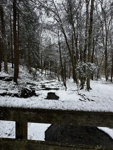Best Hikes and Trails in Stevens Glen Reserve | AllTrails