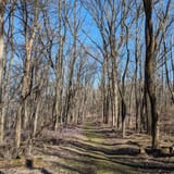 Point Ann Trail, Iowa - 78 Reviews, Map | AllTrails