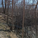 Point Ann Trail, Iowa - 78 Reviews, Map | AllTrails
