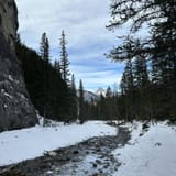 Heart Creek Trail, Alberta, Canada - 3,396 Reviews, Map | AllTrails