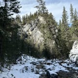 Heart Creek Trail, Alberta, Canada - 3,396 Reviews, Map | AllTrails