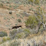 Go John Trail, Arizona - 2,590 Reviews, Map | AllTrails