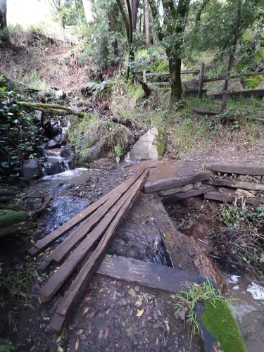 Best Road Biking Trails in Mill Valley | AllTrails