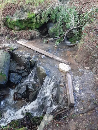 Best Road Biking Trails in Mill Valley | AllTrails