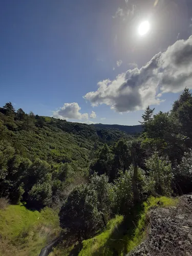 Best Road Biking Trails in Mill Valley | AllTrails