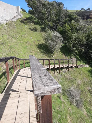 Best Road Biking Trails in Mill Valley | AllTrails