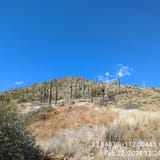 Go John Trail, Arizona - 2,590 Reviews, Map | AllTrails