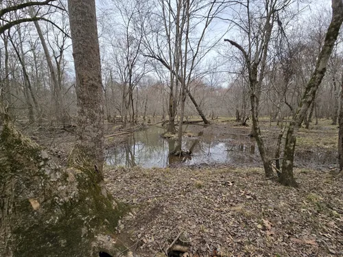 Best Hikes and Trails in The Ridge Nature Area | AllTrails