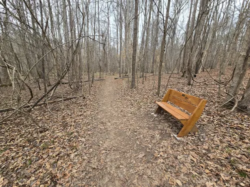 Best Hikes and Trails in The Ridge Nature Area | AllTrails