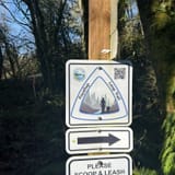 Puyallup Loop Trail, Washington - 1,287 Reviews, Map | AllTrails
