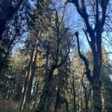 Puyallup Loop Trail, Washington - 1,287 Reviews, Map | AllTrails