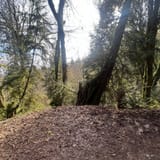 Puyallup Loop Trail, Washington - 1,274 Reviews, Map | AllTrails