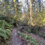 Puyallup Loop Trail, Washington - 1,146 Reviews, Map | AllTrails