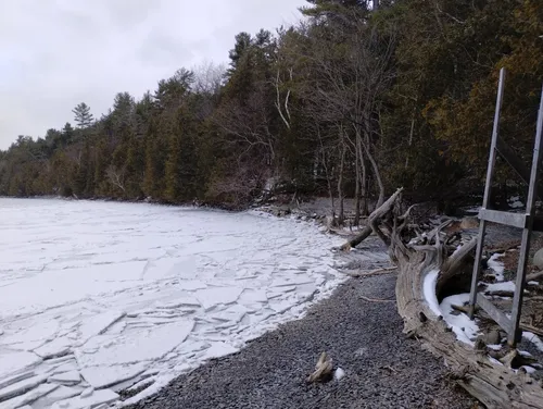 Best Easy Trails in Point Au Roche State Park | AllTrails