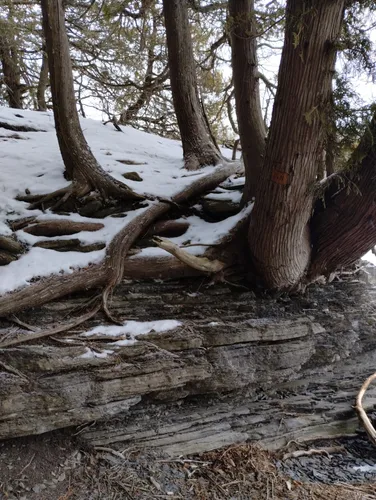 Best Easy Trails in Point Au Roche State Park | AllTrails