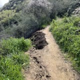 Temescal Canyon Trail, California - 9,779 Reviews, Map | AllTrails