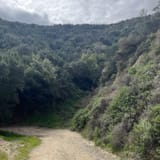Beaudry Loop, California - 4,945 Reviews, Map | AllTrails