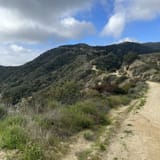 Beaudry Loop, California - 4,945 Reviews, Map | AllTrails