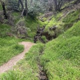 Beaudry Loop, California - 4,945 Reviews, Map | AllTrails