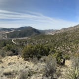Carlito Springs Loop, New Mexico - 462 Reviews, Map | AllTrails