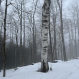 Prospect Rock Trail, Vermont - 892 Reviews, Map | AllTrails