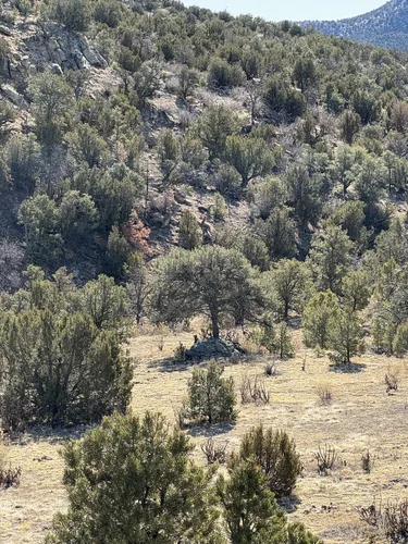 Best Hikes and Trails in Red Canyon Park | AllTrails