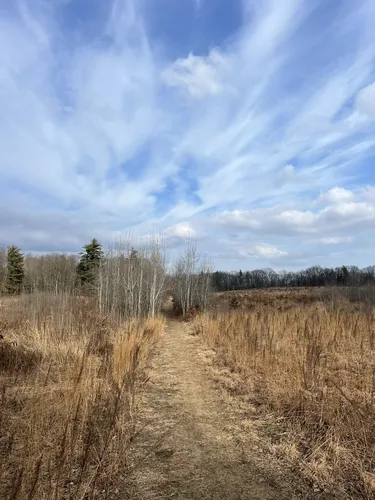 Best Easy Trails in Backus Woods | AllTrails