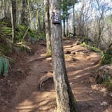 Abby Grind, British Columbia, Canada - 2,116 Reviews, Map | AllTrails