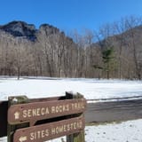 Seneca Rocks Trail, West Virginia - 2,708 Reviews, Map | AllTrails