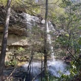 Burnt Mill Loop Trail, Tennessee - 492 Reviews, Map | AllTrails
