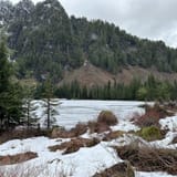 Heather Lake Trail, Washington - 5,655 Reviews, Map | AllTrails