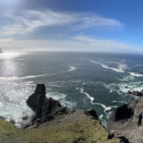 Cape Falcon Trail, Oregon - 3,640 Reviews, Map | AllTrails