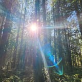 Northern State Recreation Area Loop, Washington - 561 Reviews, Map ...