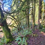 Northern State Recreation Area Loop, Washington - 561 Reviews, Map ...