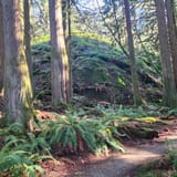 Northern State Recreation Area Loop, Washington - 561 Reviews, Map ...