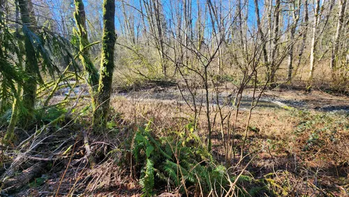 Best Hikes and Trails in Northern State Recreation Area | AllTrails