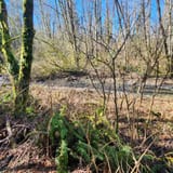 Northern State Recreation Area Loop, Washington - 561 Reviews, Map ...