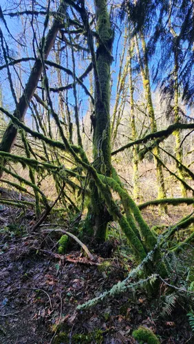 Best Hikes and Trails in Northern State Recreation Area | AllTrails