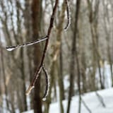 Mount Arab Trail, New York - 2,219 Reviews, Map | AllTrails