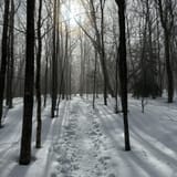 Mount Arab Trail, New York - 2,214 Reviews, Map | AllTrails