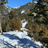Sypes Canyon, Montana - 1,568 Reviews, Map | AllTrails