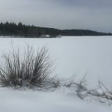 Spooner Lake Trail, Nevada - 1,750 Reviews, Map | AllTrails