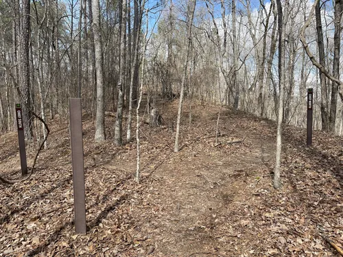 Best Walking Trails in Standing Boy Trails | AllTrails