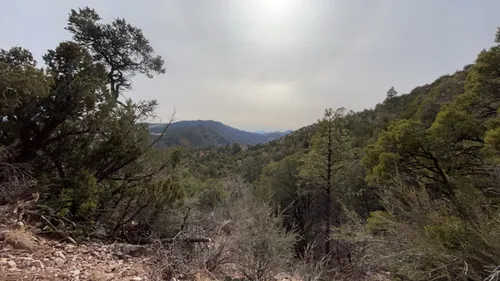 Best Hikes and Trails in Carlito Springs Open Space Loop | AllTrails