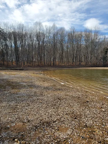 Best Lake Trails in Scottsburg | AllTrails